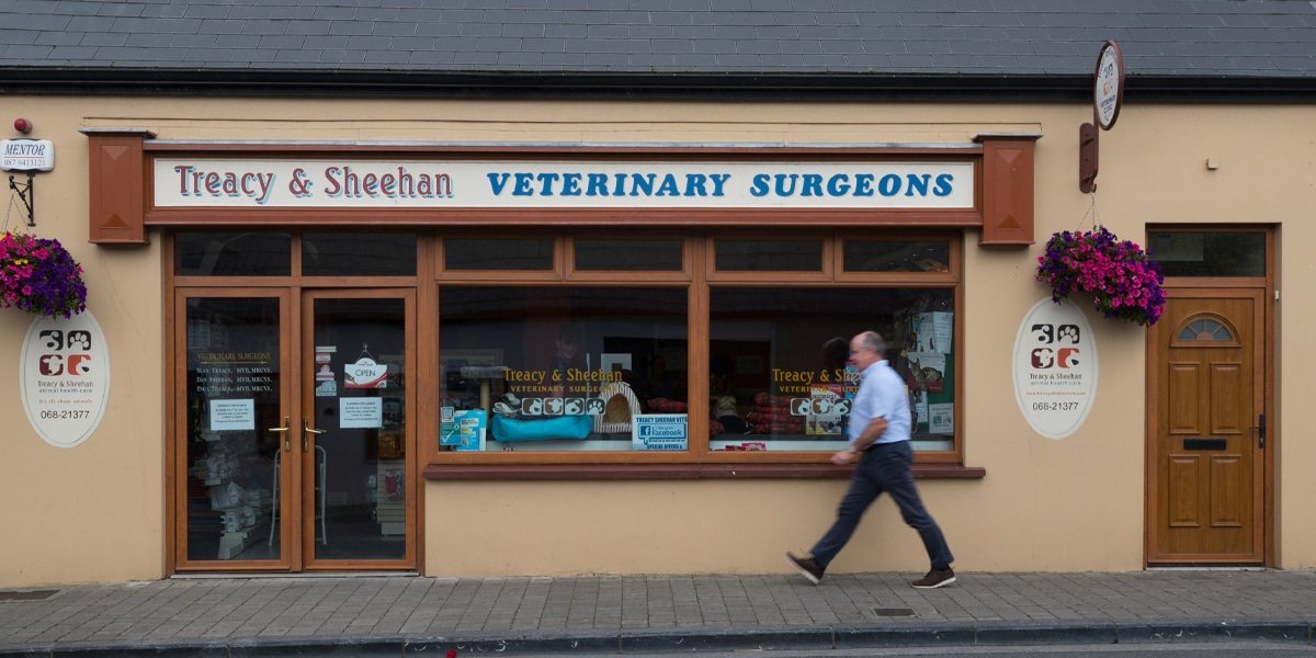Treacy & Sheehan Veterinary Surgeons - Listowel | Where Stories Begin